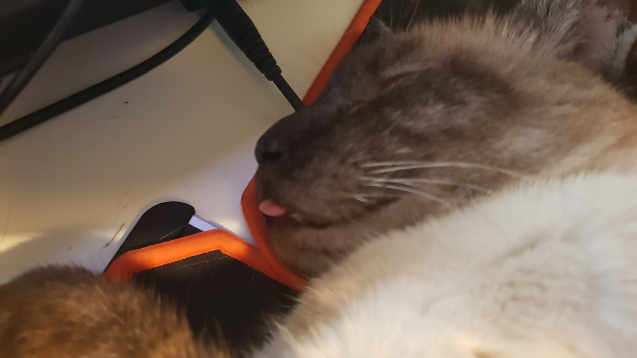 Rob Mathews - Software Developer